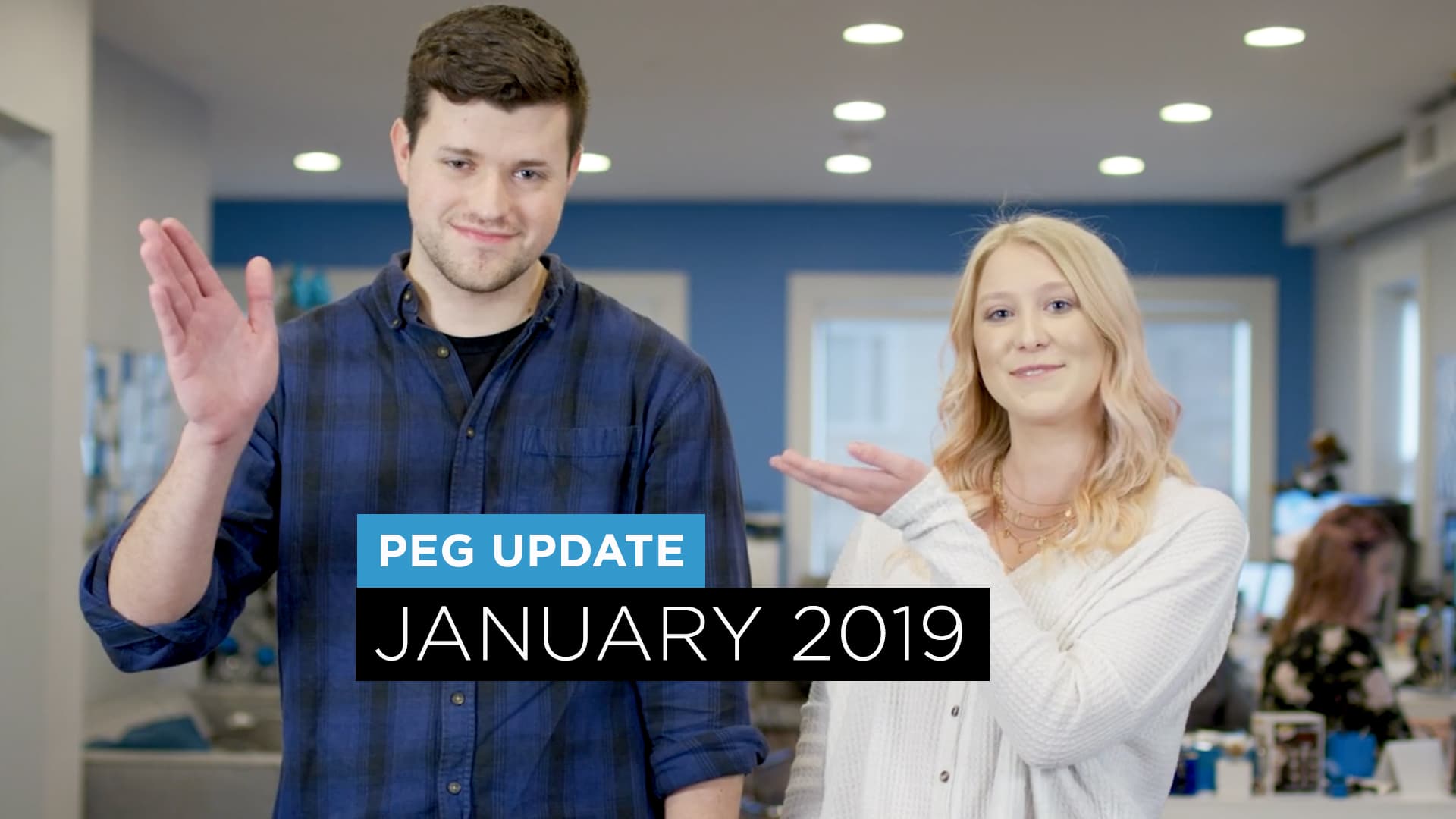 PEG Update January 2019 - PEG Blog